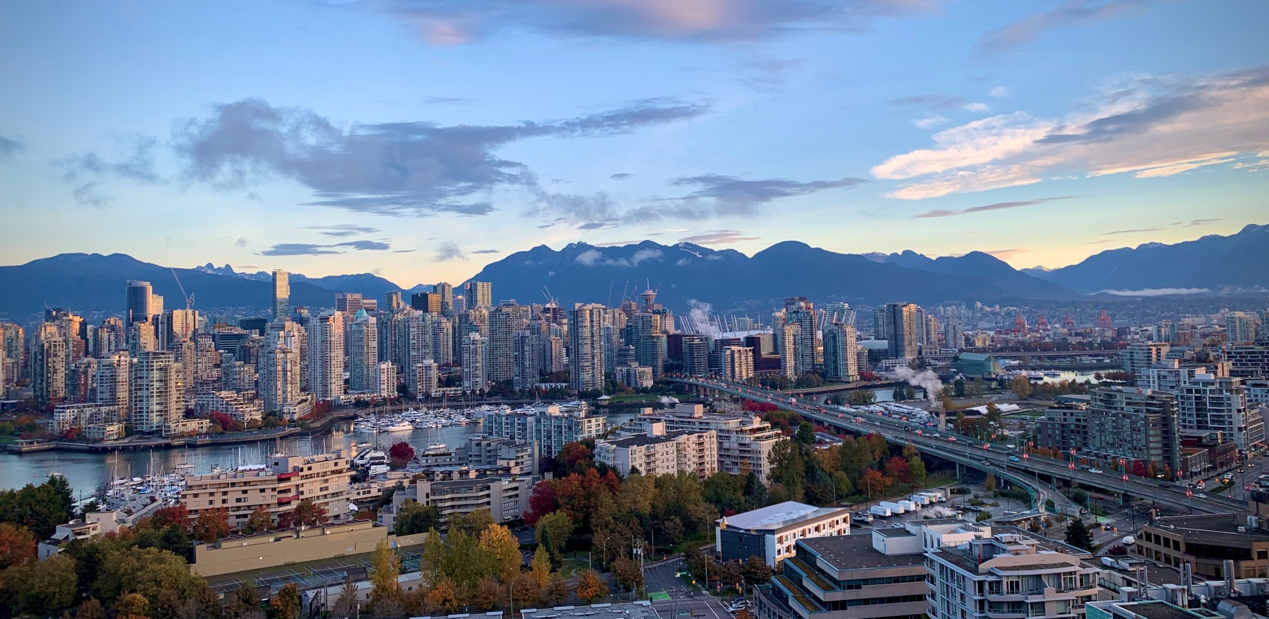 Bird Control Vancouver | Humane Solutions for Your Business