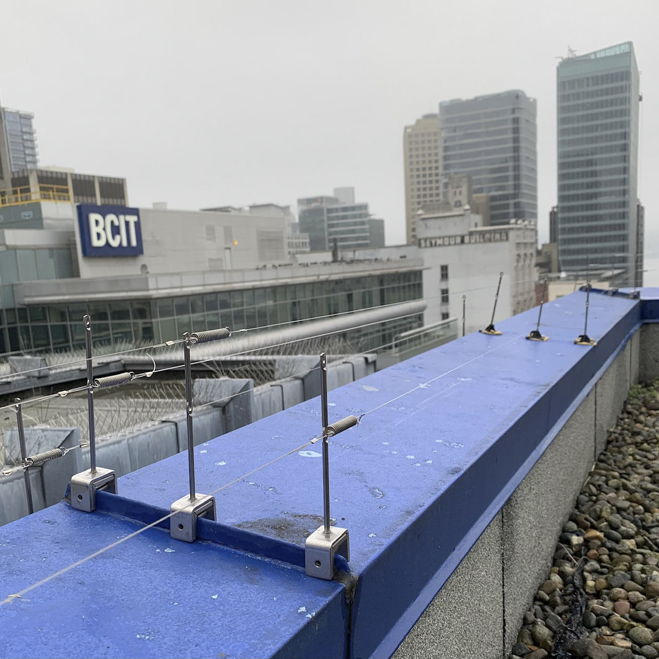 BIRD WIRE SYSTEM - Deturd Bird Control | Vancouver BC
