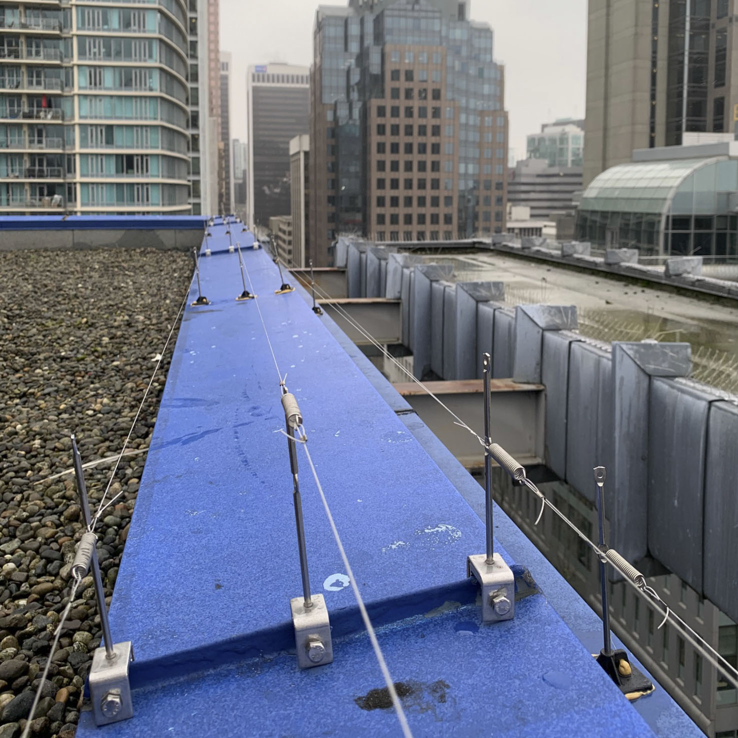 BIRD WIRE SYSTEM - Deturd Bird Control | Vancouver BC