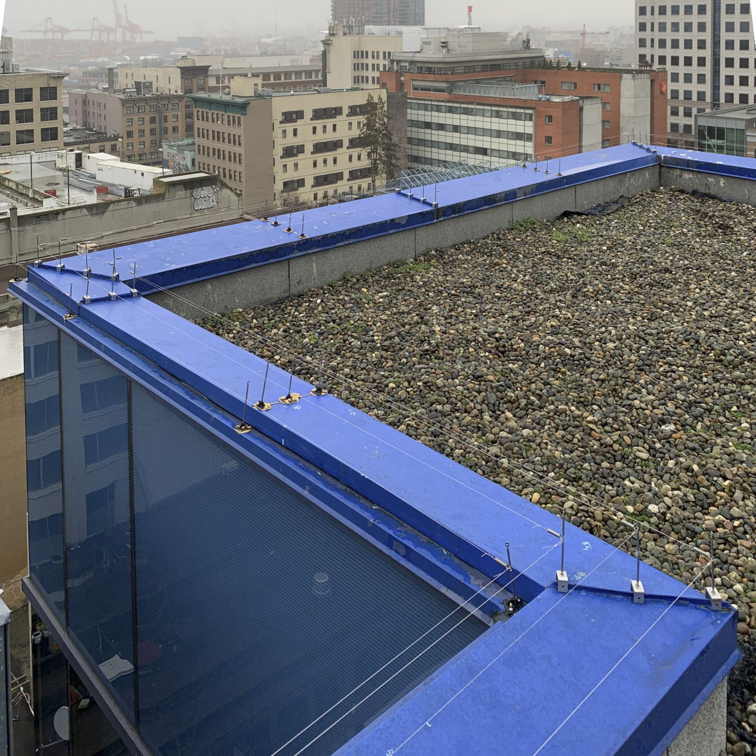 BIRD WIRE SYSTEM - Deturd Bird Control | Vancouver BC